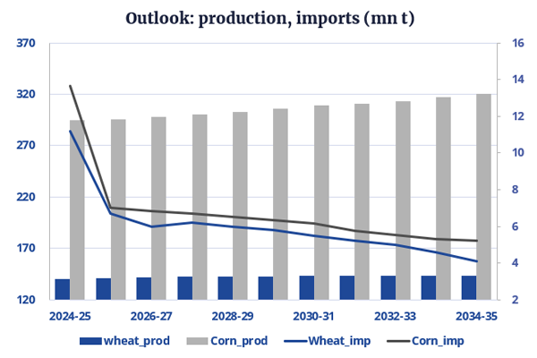 China Grain Import Trends & Global Market Outlook | Argus Media