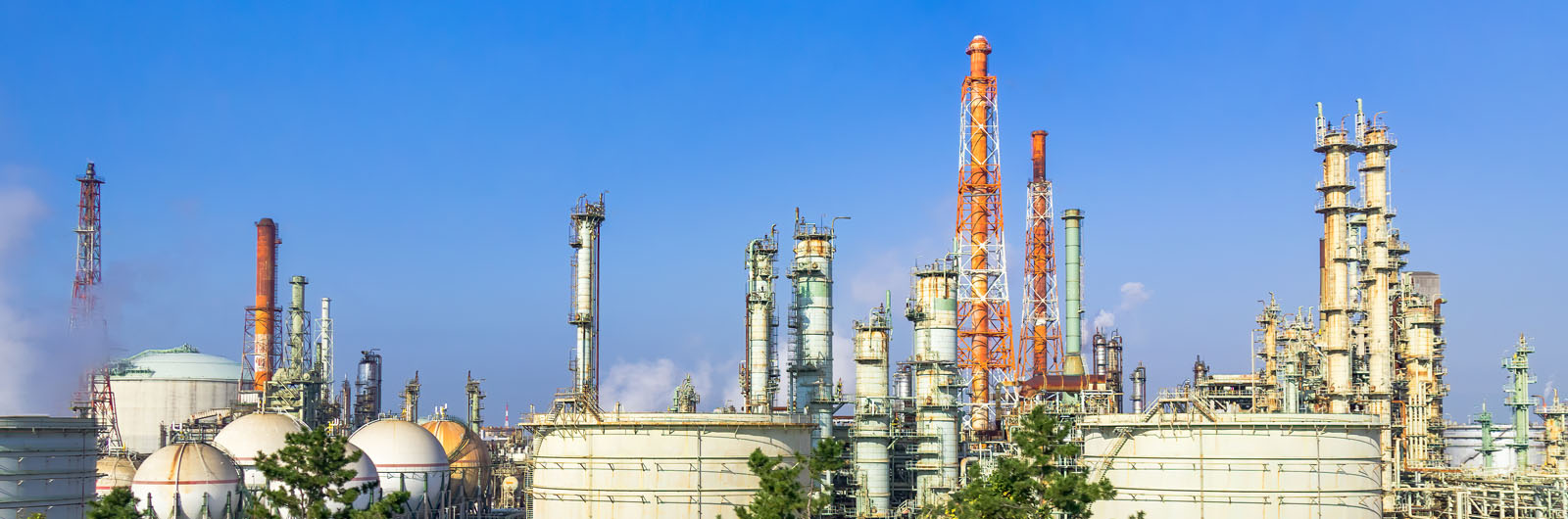 Biofuels price: Argus NYH B99 biodiesel price | Argus Media