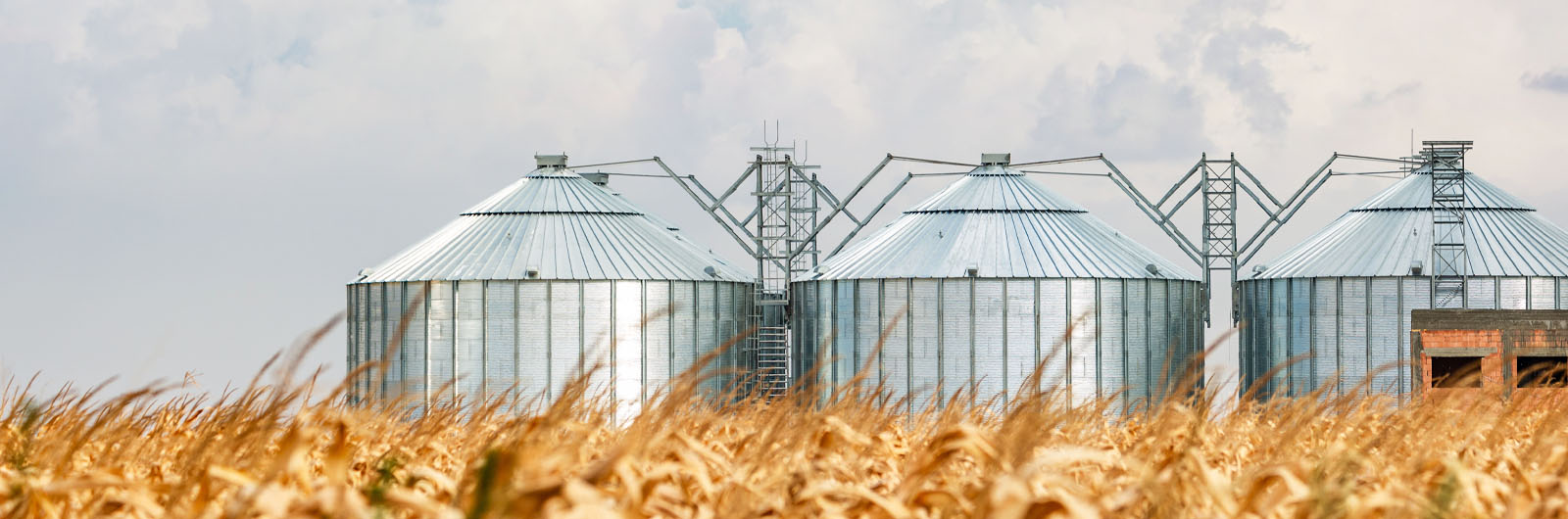 Argus HVO Germany | Argus Media