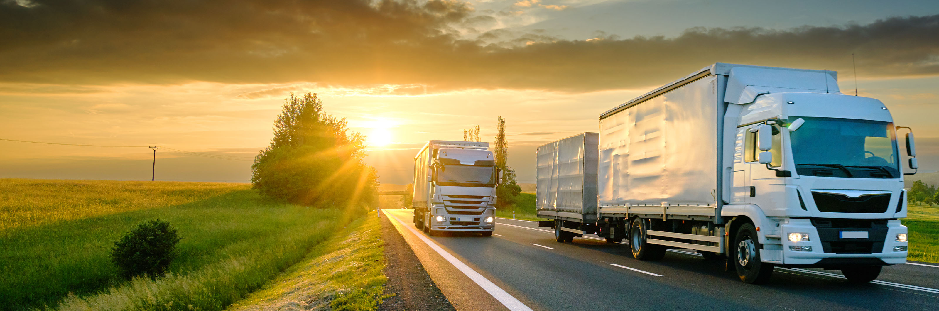 Argus Germany vDIP | Argus Media